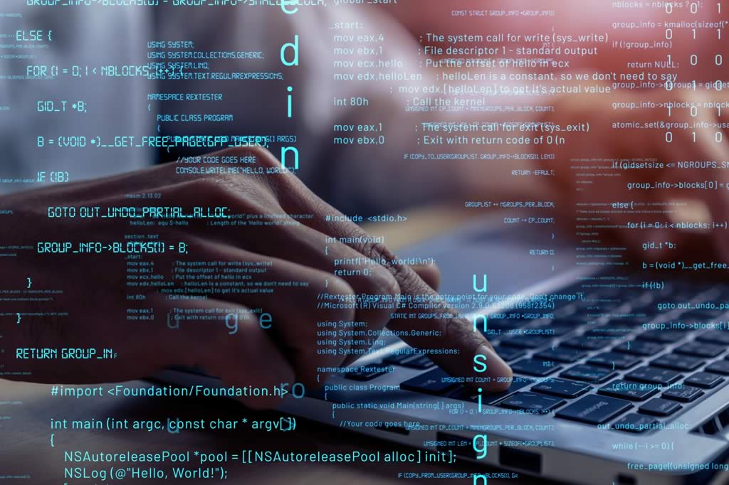 Principales Clientes | Soft Service México